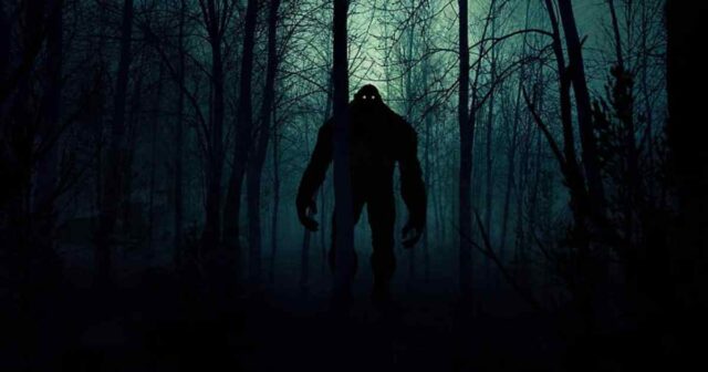 La Sombra Historia De Terror 2023 - Historias de Terror